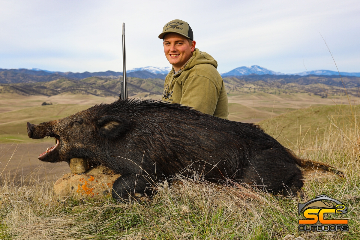 Page 2/6 - Northern California Wild Pig Hunting with SC2 Outdoors