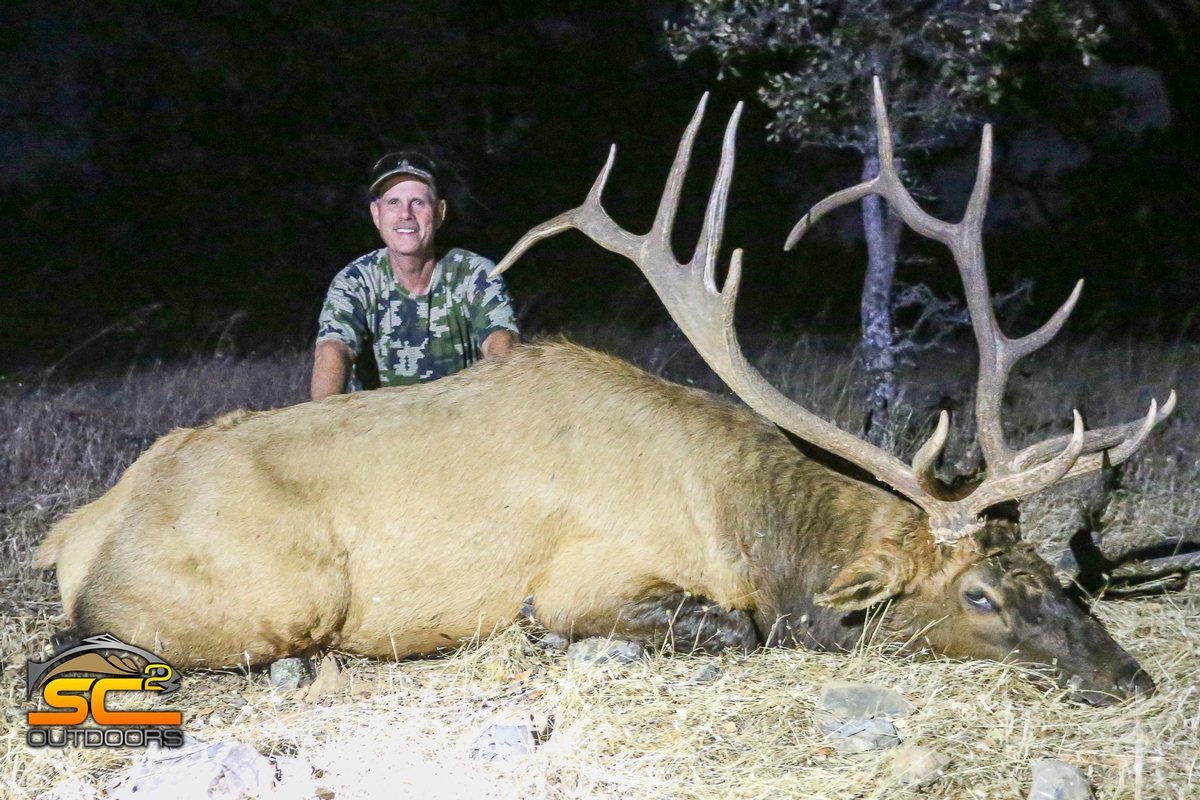 California Elk Hunting - Roosevelt Elk Hunts, Rocky Mountain Elk ...