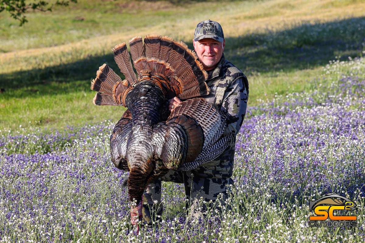 California Wild Turkey Hunting Guides | California Wild Turkey Hunting ...