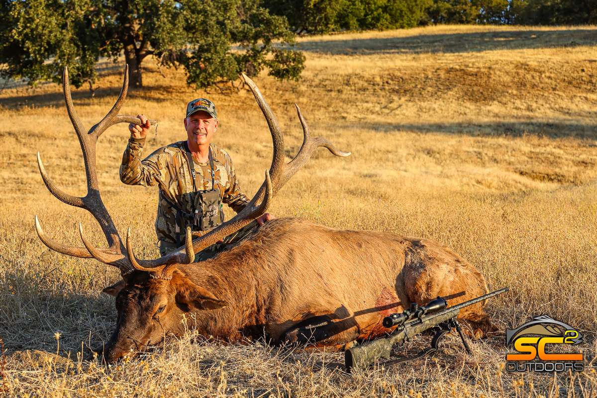 California Elk Hunting - Roosevelt Elk Hunts, Rocky Mountain Elk ...