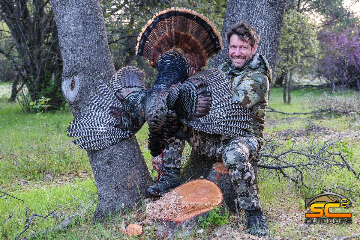 California Wild Turkey Hunting Guides | California Wild Turkey Hunting ...