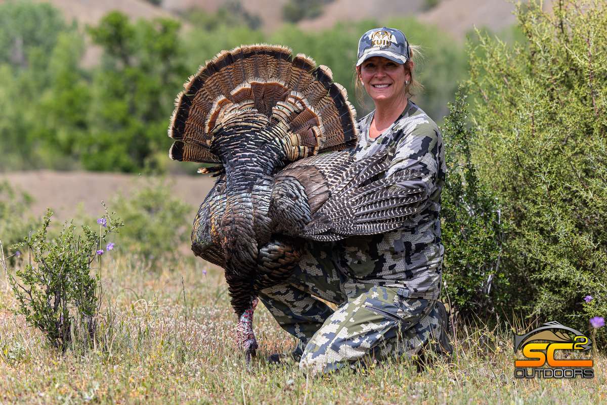 California Wild Turkey Hunting Guides | California Wild Turkey Hunting ...