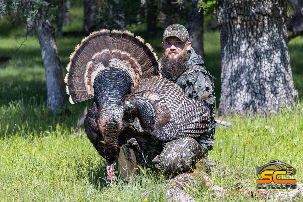 California Wild Turkey Hunting Guides | California Wild Turkey Hunting ...