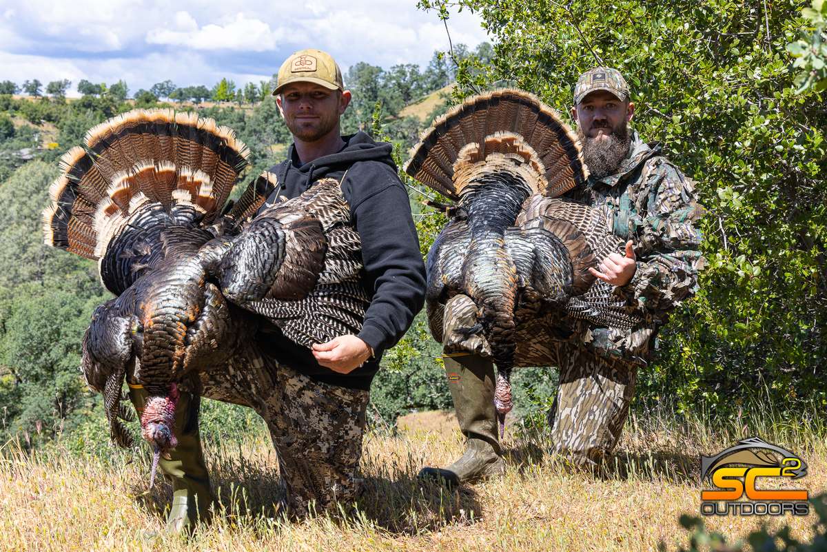 California Wild Turkey Hunting Guides | California Wild Turkey Hunting ...