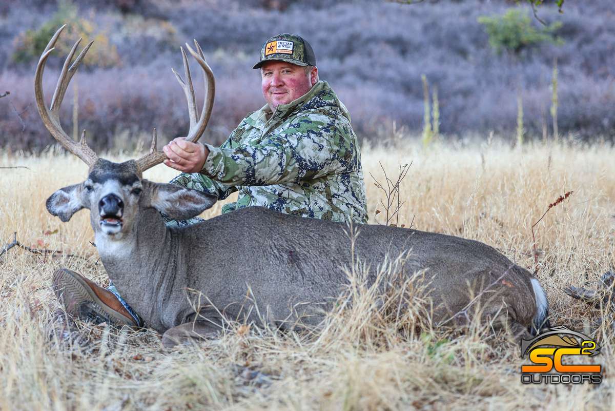 California Hybrid Blacktail Mule Deer Cross Bucks