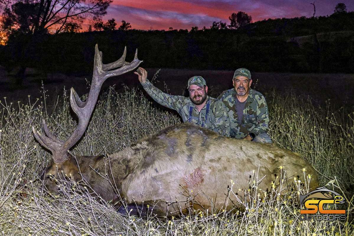 California Elk Hunting - Roosevelt Elk Hunts, Rocky Mountain Elk ...