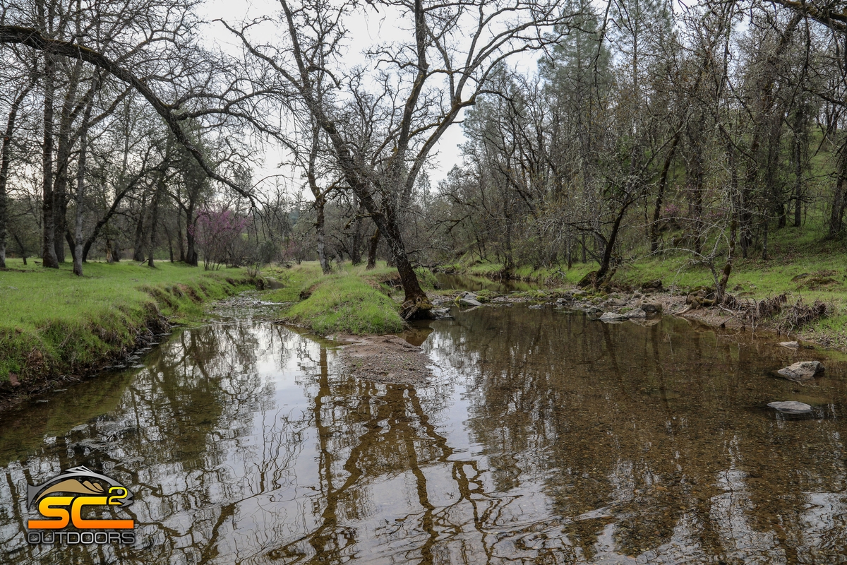 Shasta County, California Big Game Hunting - Rickert Ranch, LLC