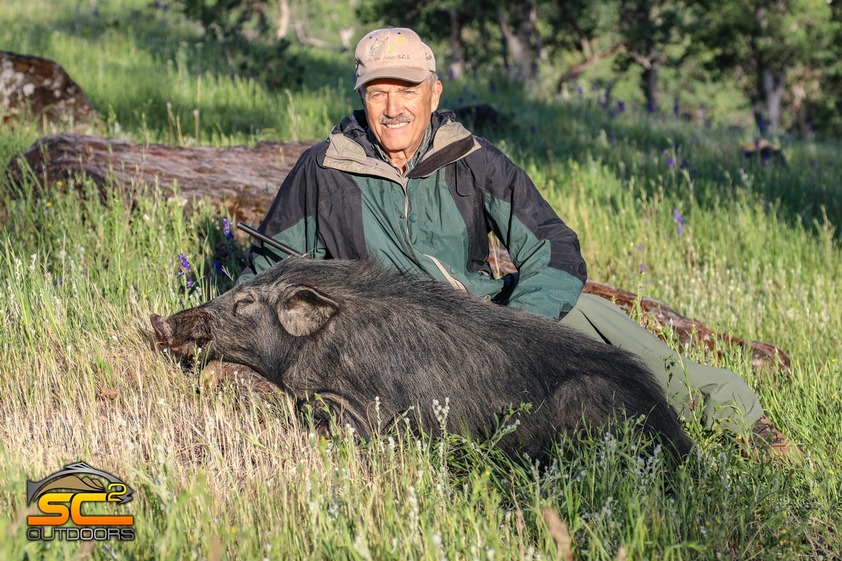 Page 2/6 - Northern California Wild Pig Hunting with SC2 Outdoors